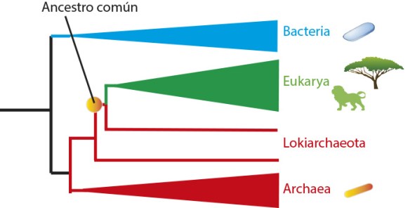 Las arqueas del Castillo de Loki – MITOLOGÍA NATURAL